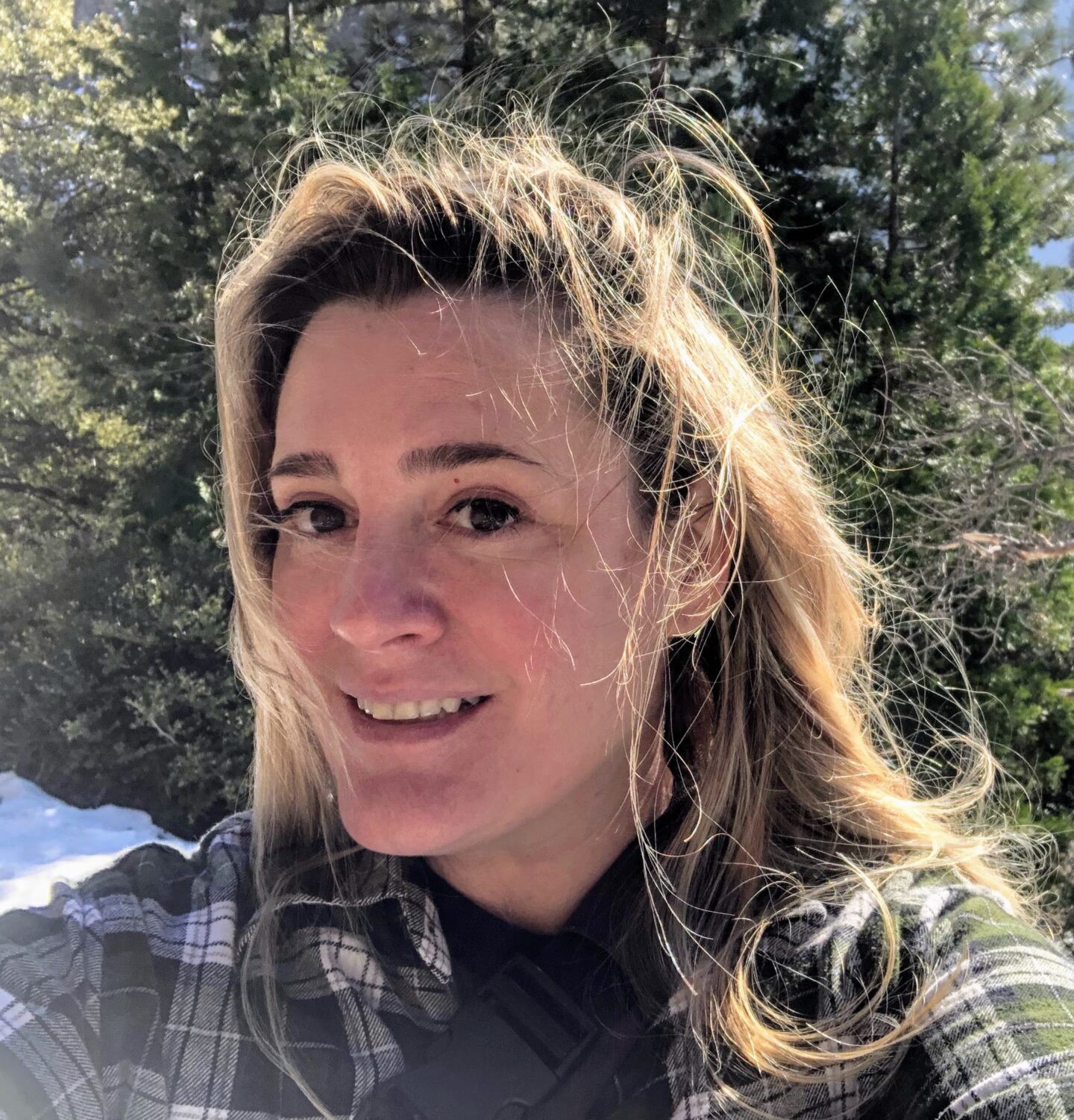 Kate Sheffield - Alfred P. Sloan Foundation Public Understanding & Film ...